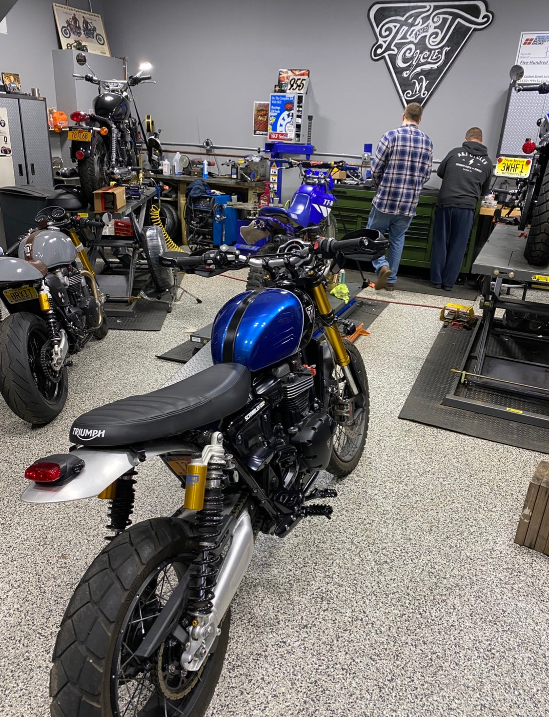 Triumph Euro LED Tail Light / Turn Signal Relocation Kit - Scrambler ...