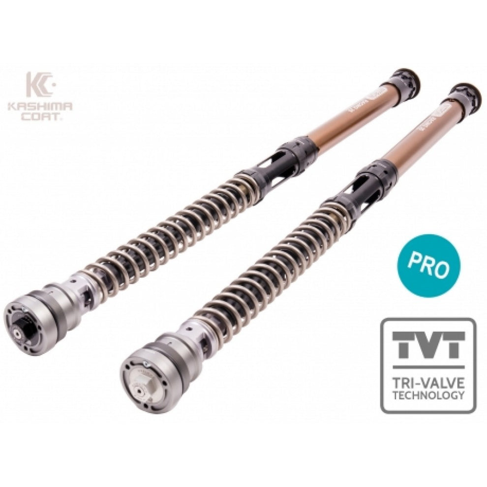 Nitron TVT Cartridge Kit - 2021+ Triumph Speed Twin 1200 - A & J cycles ...